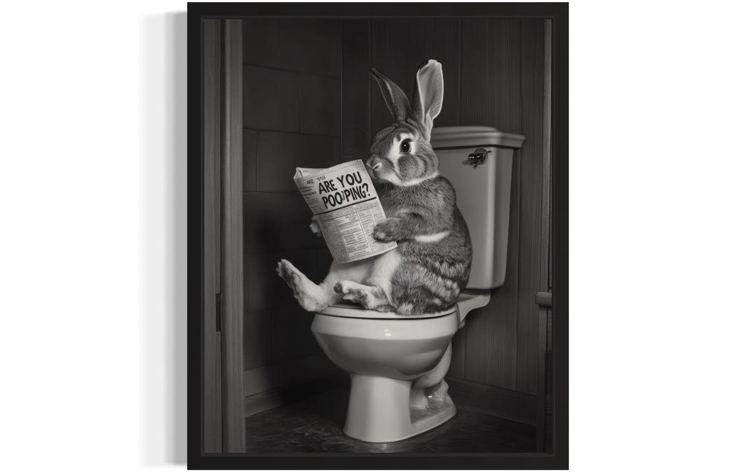 Rabbit on Toilet in Restroom Poster Art Print, Animal Wall Art Decor ...