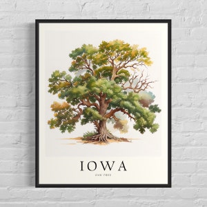 Iowa State Tree Art Print, Oak Tree Wall Art, State Tree Symbol Artwork ...