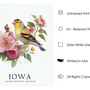Iowa State Bird Art Print, Iowa State Flower, Iowa Wall Art, Home Decor ...