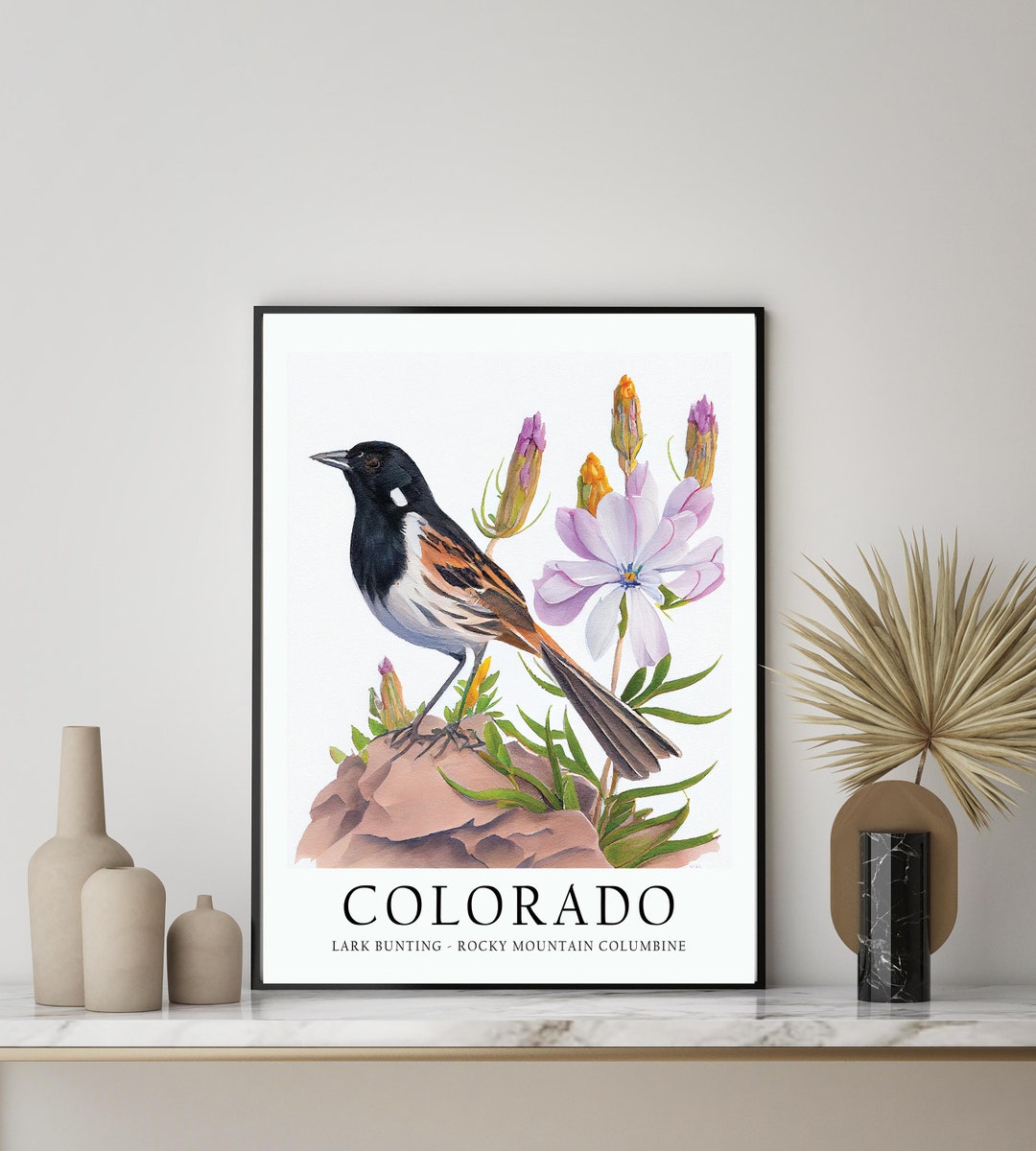 Colorado State Bird Art Print, Colorado State Flower, Colorado Wall Art ...
