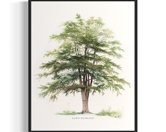Black Locust Tree Art Print Black Locust Tree Wall Art Poster - Etsy