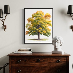 Sugar Maple Tree Art Print, Sugar Maple Tree Wall Art Poster - Etsy