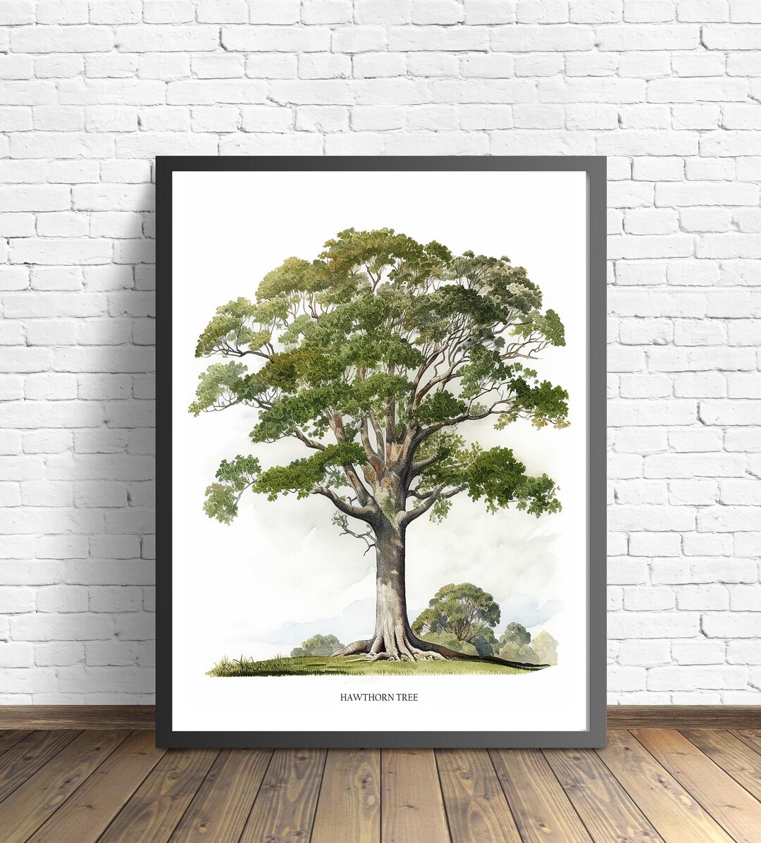 Hawthorn Tree Art Print, Hawthorn Tree Wall Art Poster - Etsy