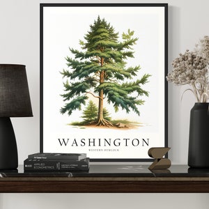 Washington State Tree Art Print, Western Hemlock Tree Wall Art, State ...