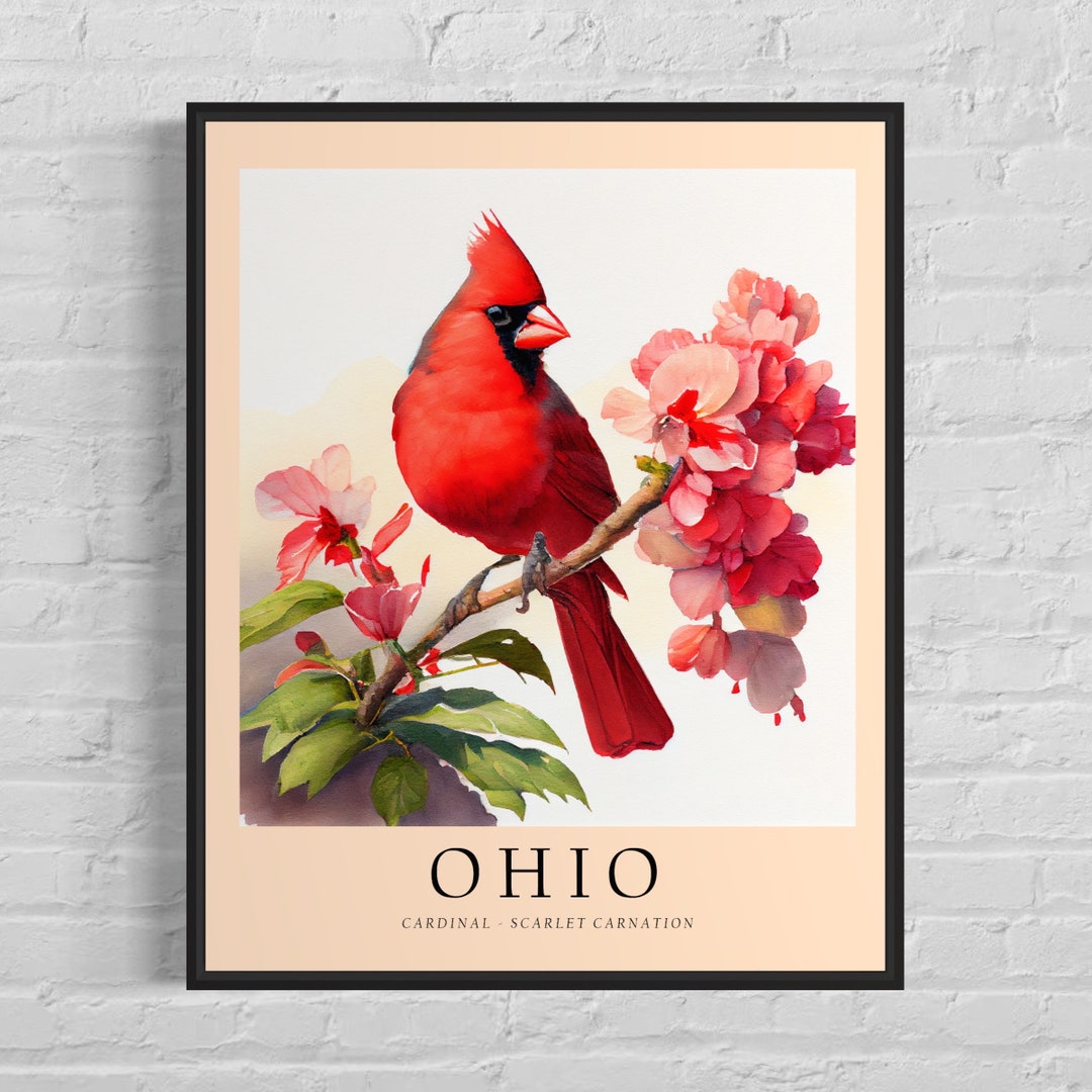 Ohio State Bird Art Print Ohio State Flower Ohio Wall Art - Etsy