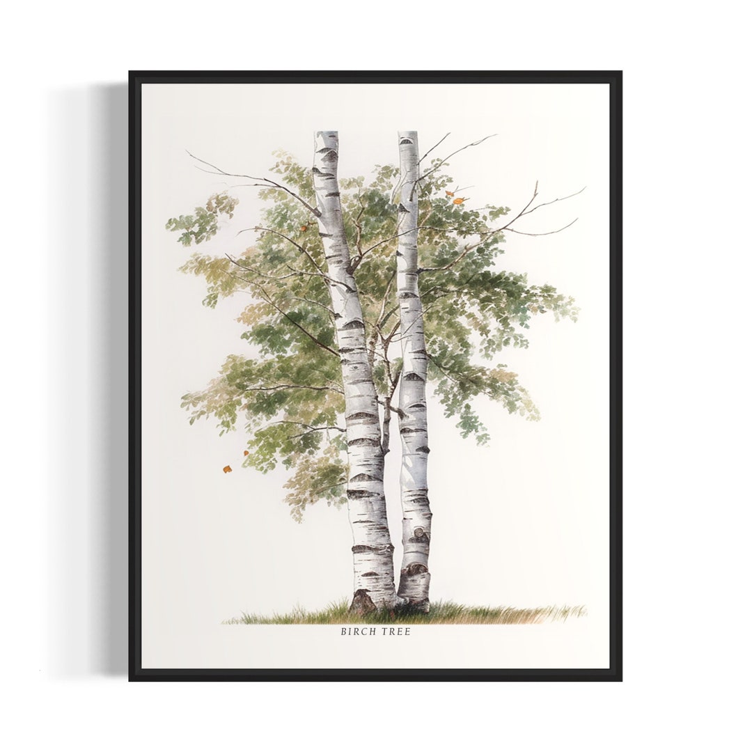 Birch Tree Art Print, Birch Tree Wall Art Poster - Etsy