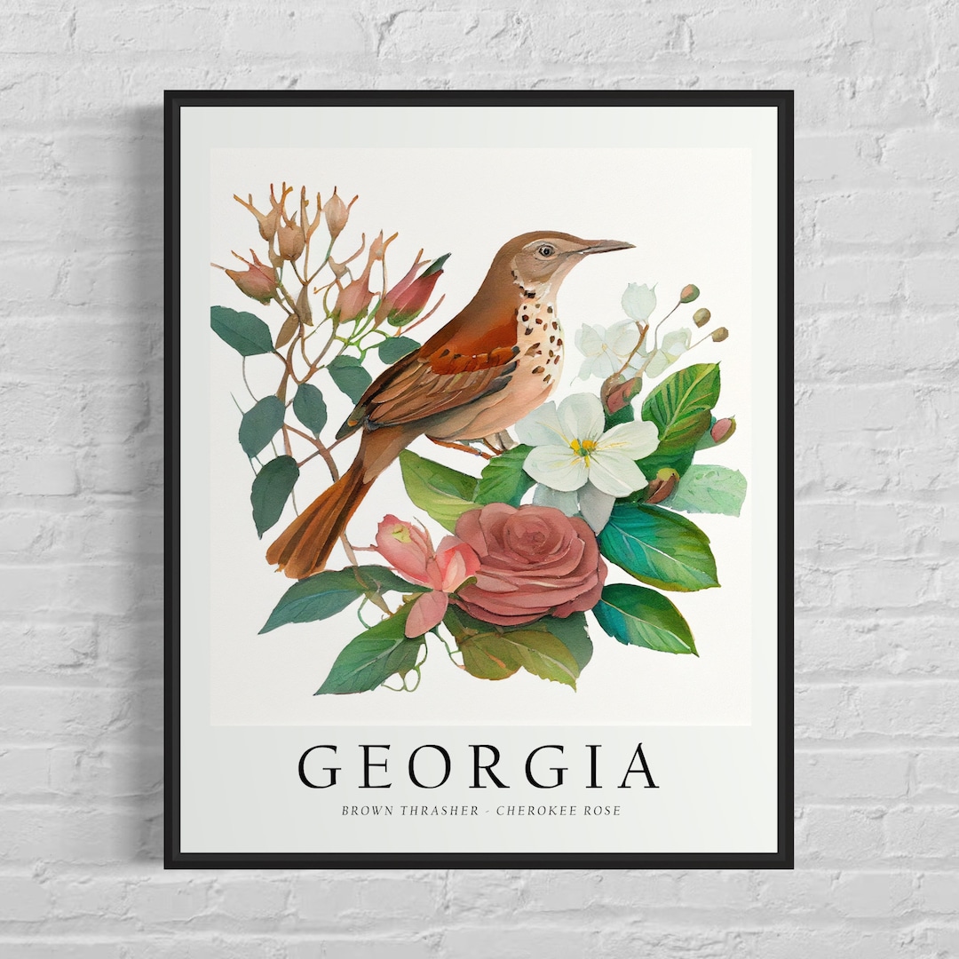 Georgia State Bird Art Print, Georgia State Flower, Georgia Wall Art ...