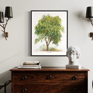 Mango Tree Art Print, Mango Tree Wall Art Poster - Etsy