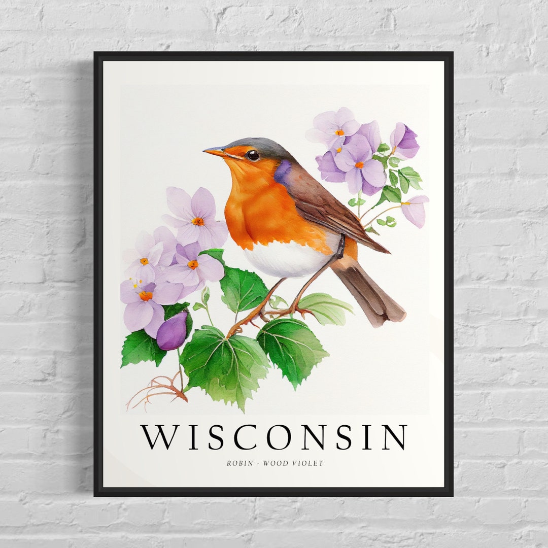 Wisconsin State Bird Art Print, Wisconsin State Flower, Wisconsin Wall ...