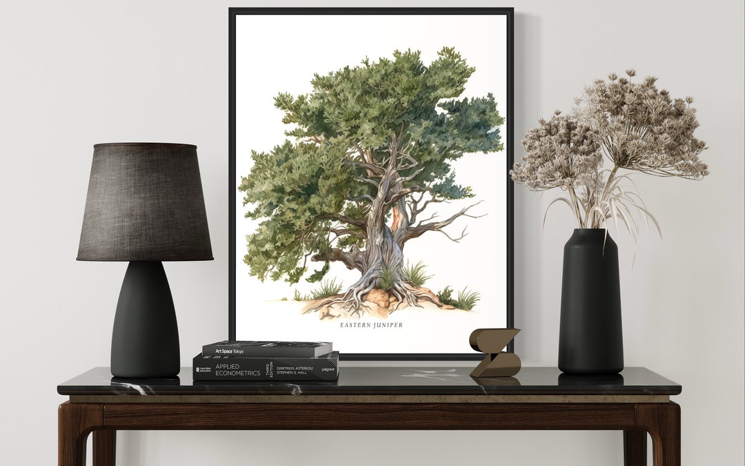 Eastern Juniper Tree Art Print, Eastern Juniper Tree Wall Art Poster - Etsy