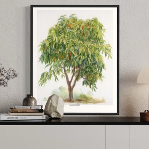 Mango Tree Art Print, Mango Tree Wall Art Poster - Etsy