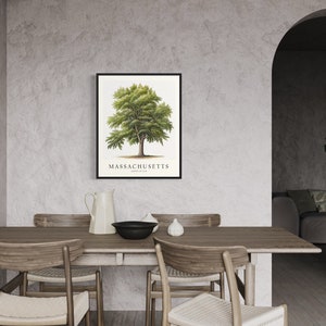 Massachusetts State Tree Art Print, American Elm Tree Wall Art, State ...