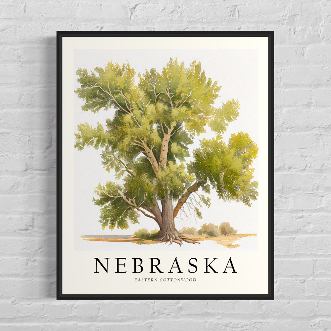 Nebraska State Tree Art Print, Eastern Cottonwood Tree Wall Art, State Tree Symbol Artwork - Etsy