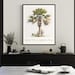 South Carolina State Tree Art Print, Sabal Palm Tree Wall Art, State ...