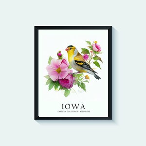 Iowa State Bird Art Print, Iowa State Flower, Iowa Wall Art, Home Decor ...