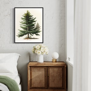 Sitka Spruce Tree Art Print, Sitka Spruce Tree Wall Art Poster - Etsy