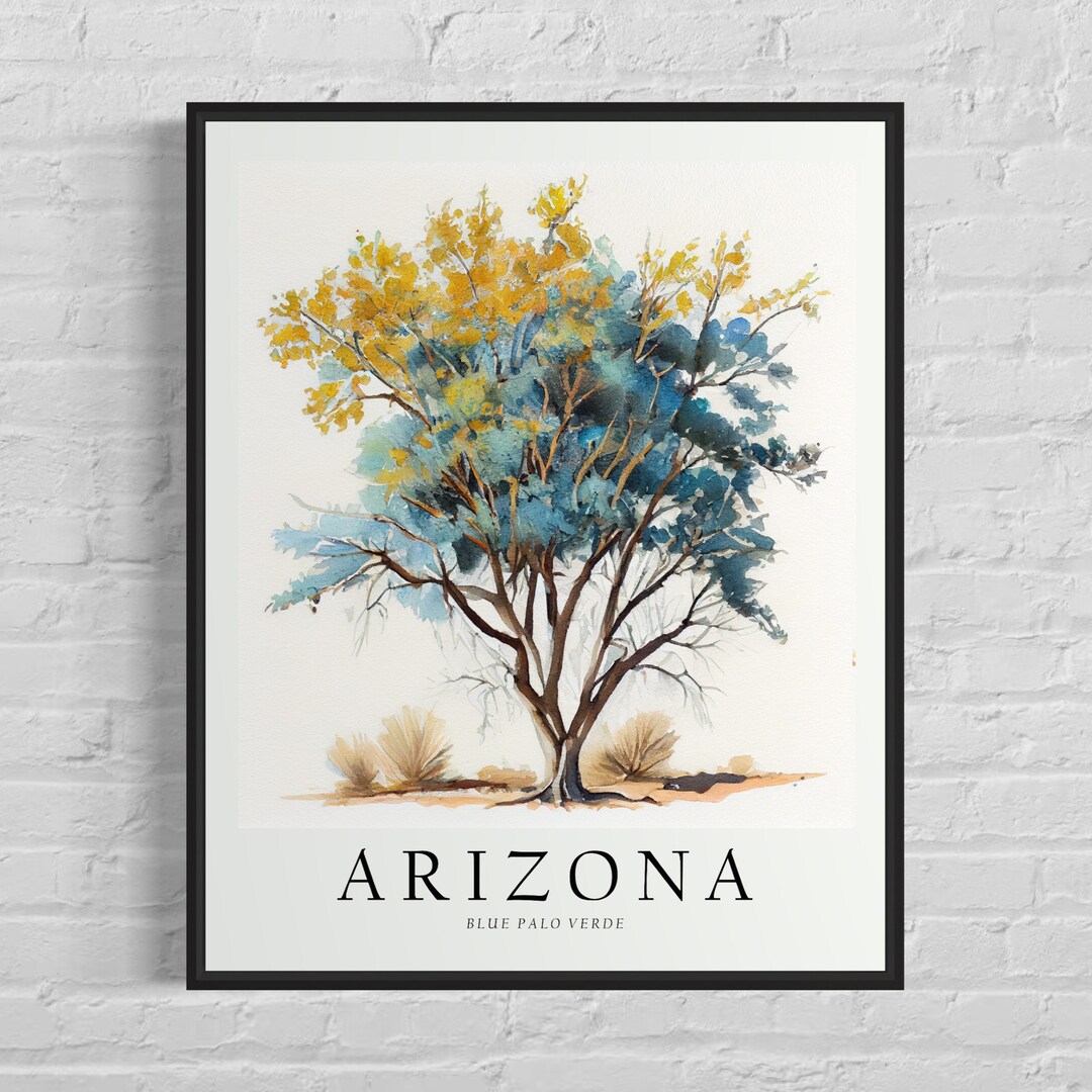 Arizona State Tree Art Print, Arizona Blue Palo Verde Tree Wall Art ...