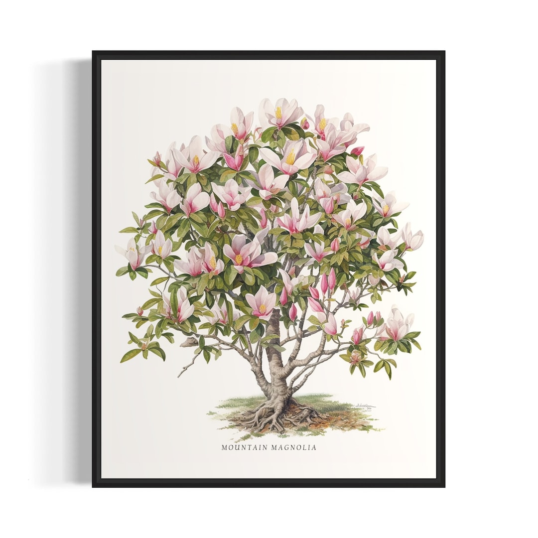 Mountain Magnolia Tree Art Print, Mountain Magnolia Tree Wall Art ...