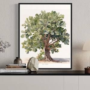 Fig Tree Art Print, Fig Tree Wall Art Poster - Etsy