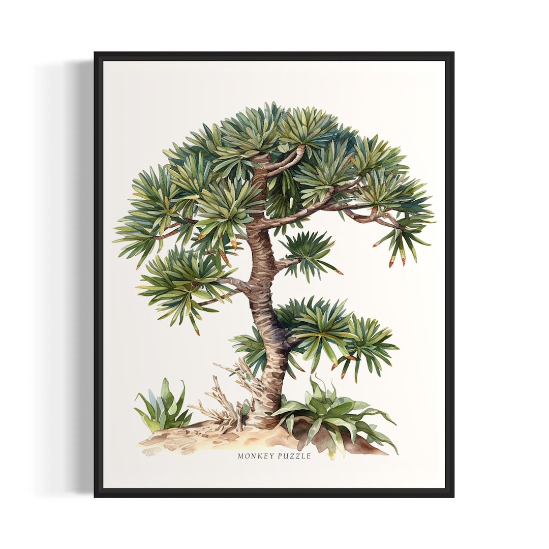 Monkey Puzzle Tree Art Print, Monkey Puzzle Tree Wall Art Poster - Etsy