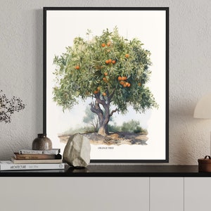 Orange Tree Art Print, Orange Tree Wall Art Poster - Etsy