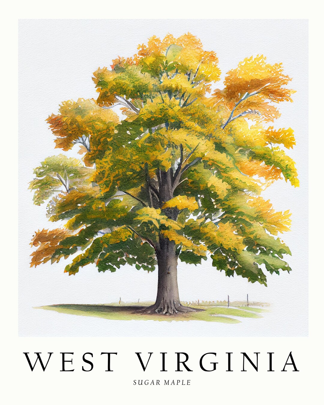 West Virginia Sugar Maple Art Print, Flower, Wall Art, Botanical Pastel ...