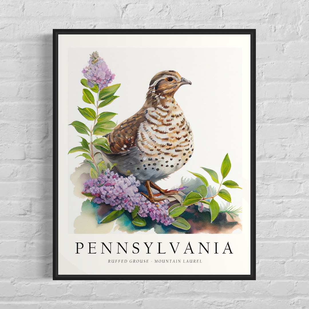 Pennsylvania State Bird Art Print, Pennsylvania State Flower ...