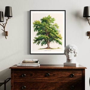 American Elm Tree Art Print, American Elm Tree Wall Art Poster - Etsy