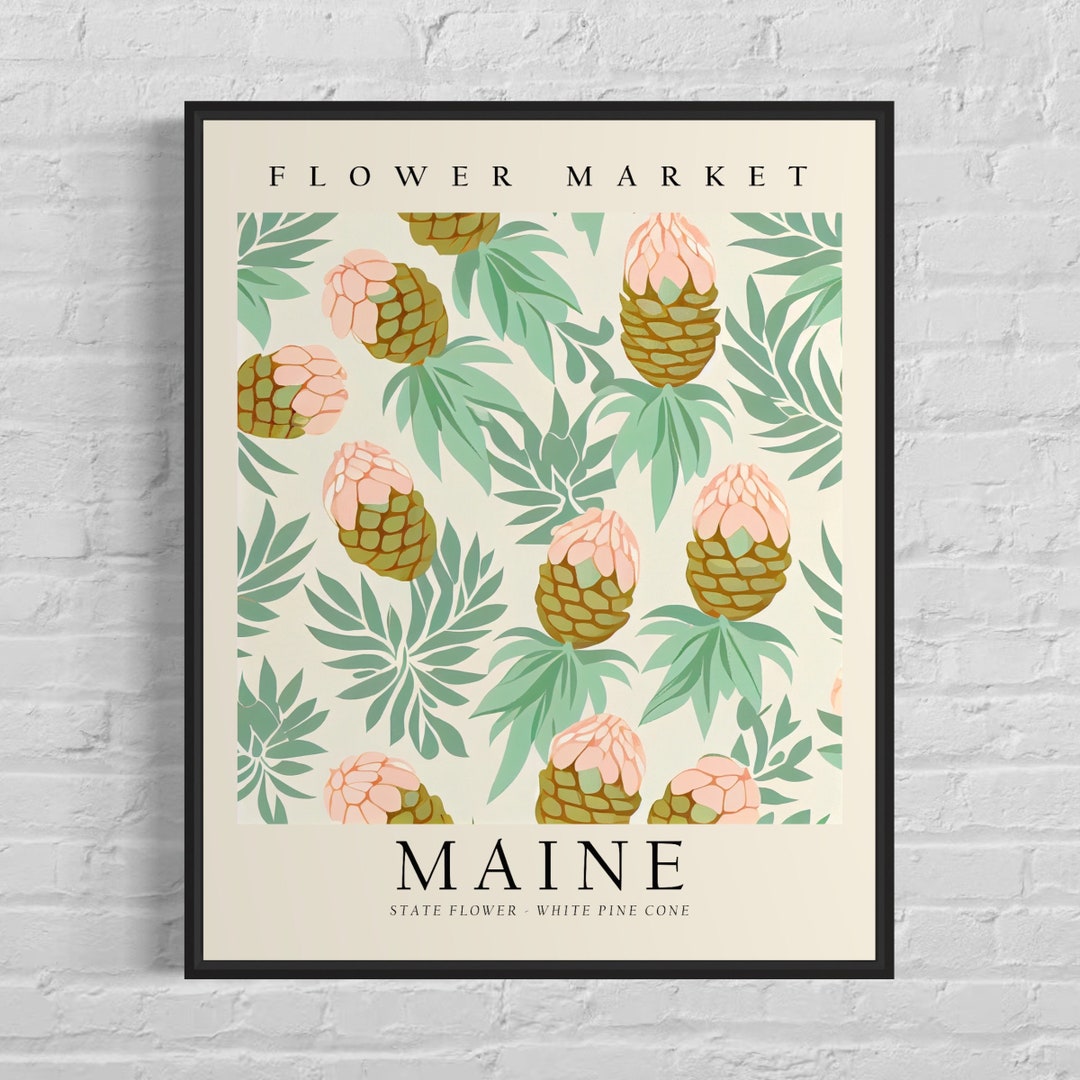 Maine State Flower, Maine Flower Market Art Print, White Pine Cone 1960 ...