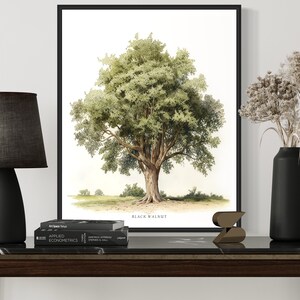 Black Walnut Tree Art Print, Black Walnut Tree Wall Art Poster - Etsy