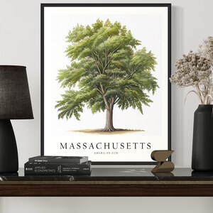 Massachusetts State Tree Art Print, American Elm Tree Wall Art, State ...