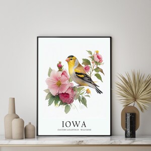 Iowa State Bird Art Print, Iowa State Flower, Iowa Wall Art, Home Decor ...
