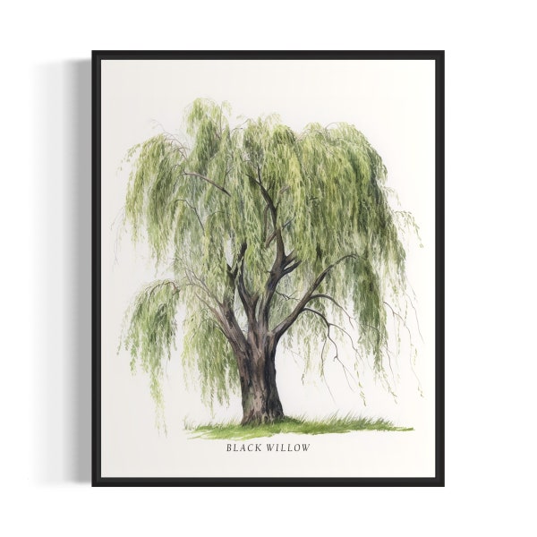 Willow Tree Painting - Etsy