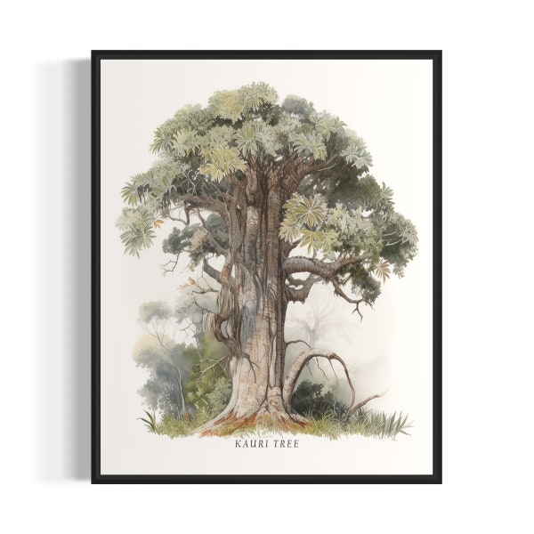 Kauri Tree - Etsy