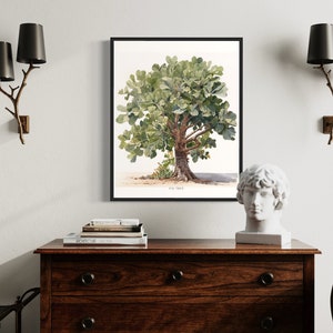 Fig Tree Art Print, Fig Tree Wall Art Poster - Etsy
