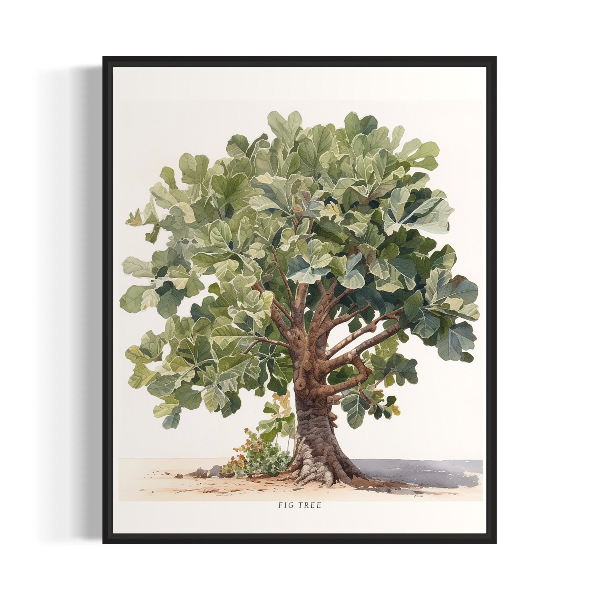 Fig Tree Painting