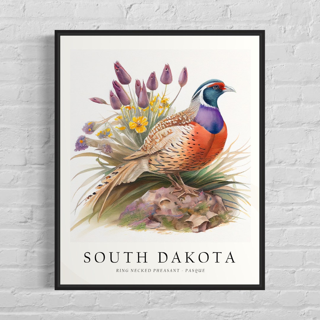 South Dakota State Bird Art Print, South Dakota State Flower, South ...