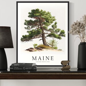 Maine State Tree Art Print, Eastern White Pine Tree Wall Art, State ...