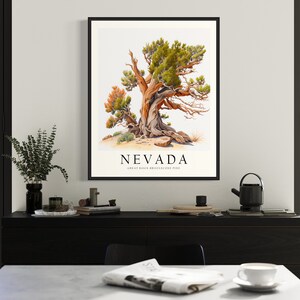 Nevada State Tree Art Print, Great Basin Bristlecone Pine Tree Wall Art ...