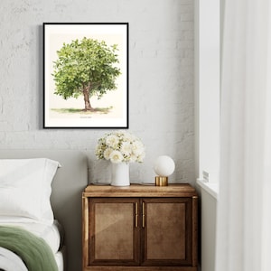 Walnut Tree Art Print, Walnut Tree Wall Art Poster - Etsy