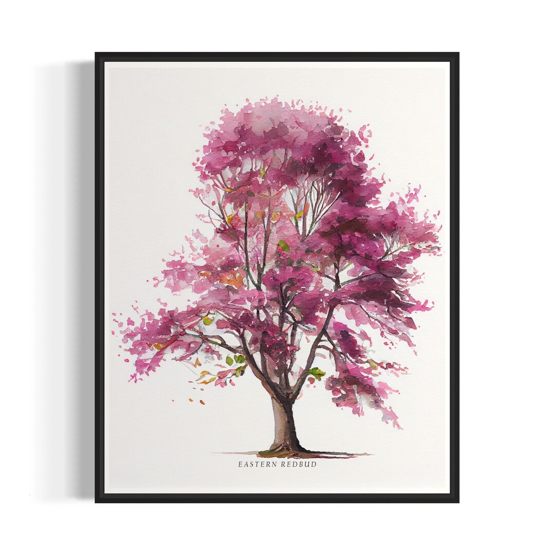 Eastern Redbud Tree Art Print, Eastern Redbud Tree Wall Art Poster - Etsy
