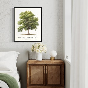 Massachusetts State Tree Art Print, American Elm Tree Wall Art, State ...