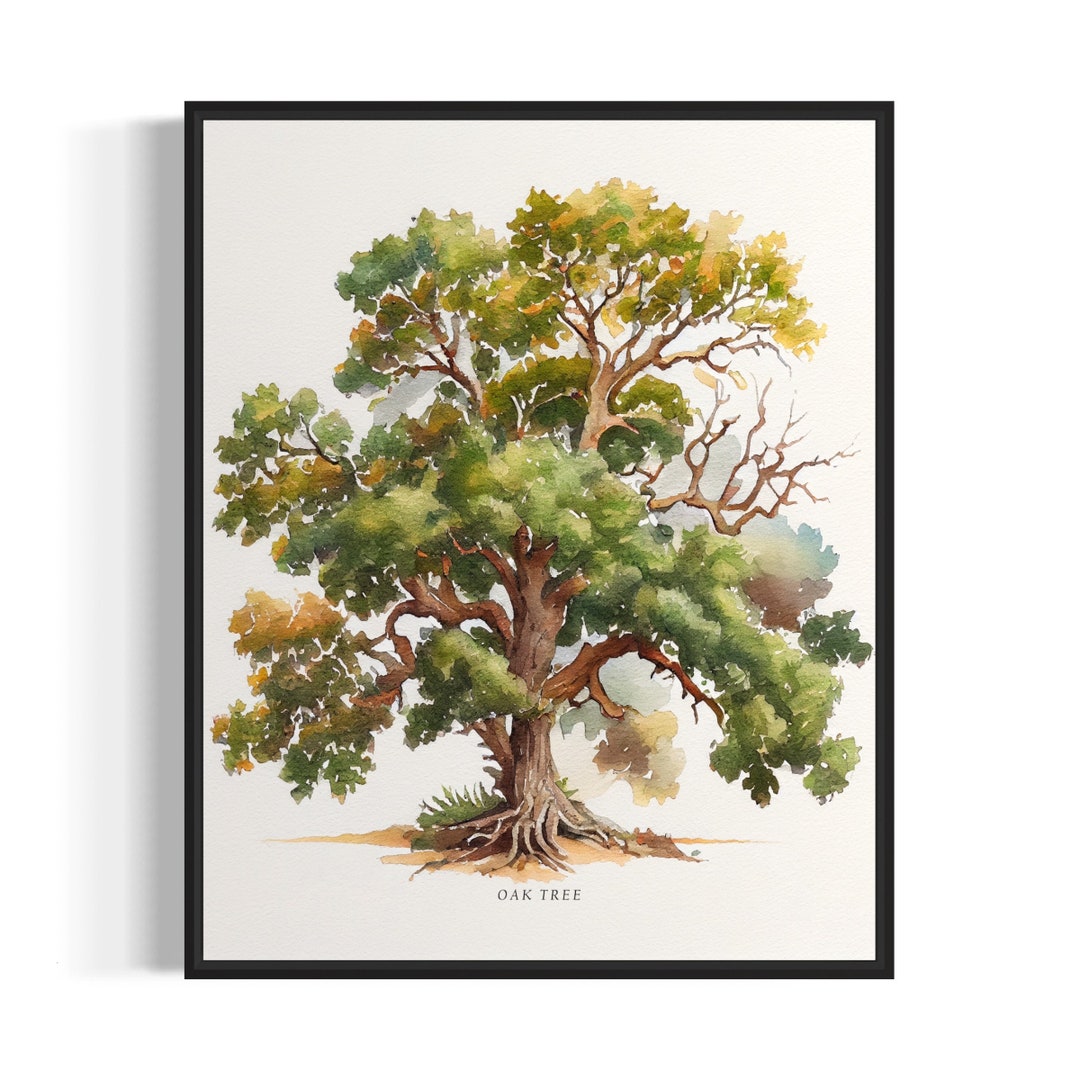Oak Tree Art Print, Oak Tree Wall Art Poster - Etsy