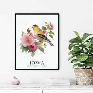 Iowa State Bird Art Print, Iowa State Flower, Iowa Wall Art, Home Decor ...
