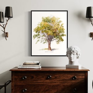 Honey Locust Tree Art Print, Honey Locust Tree Wall Art Poster - Etsy