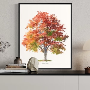 Maple Tree Art Print, Maple Tree Wall Art Poster - Etsy