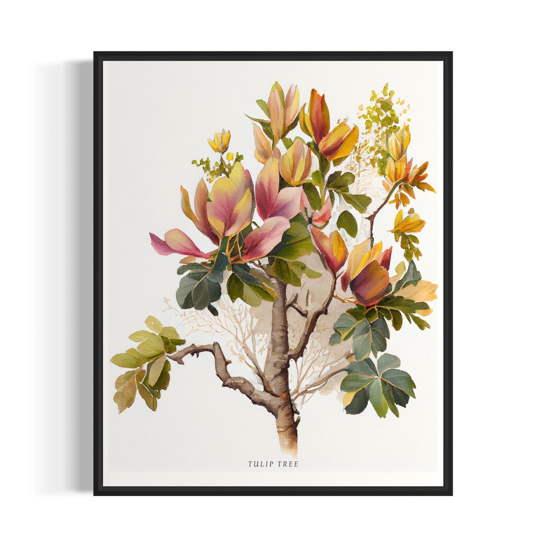 Tulip Tree Art Print, Tulip Tree Wall Art Poster - Etsy