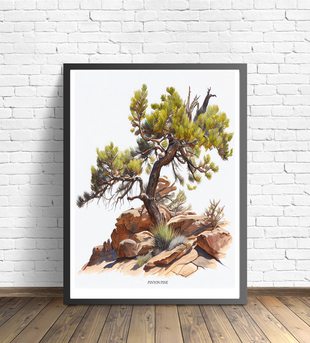 Pinyon Pine Tree Art Print, Pinyon Pine Tree Wall Art Poster - Etsy