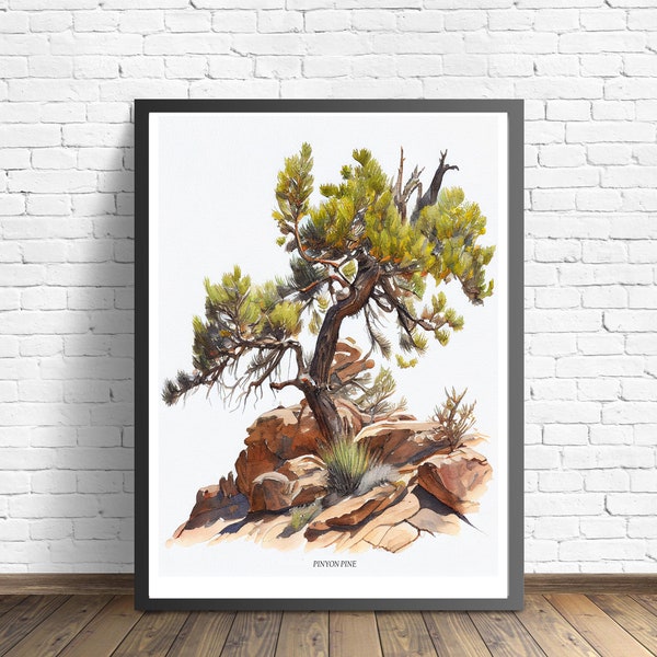 Pinyon Tree Art - Etsy