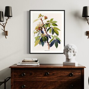 Ohio Buckeye Tree Art Print, Ohio Buckeye Tree Wall Art Poster - Etsy